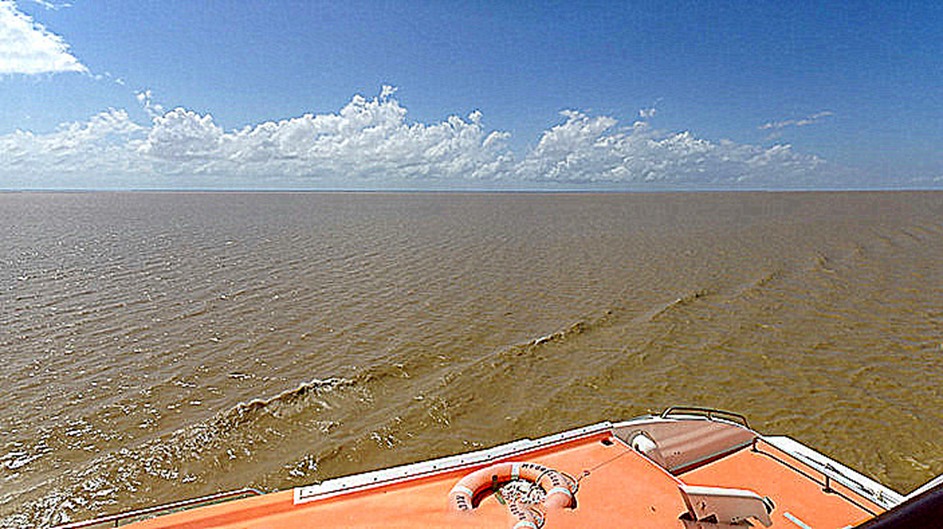 Sailing the Amazon on the Zuiderdam (2024) | BADER JOURNAL